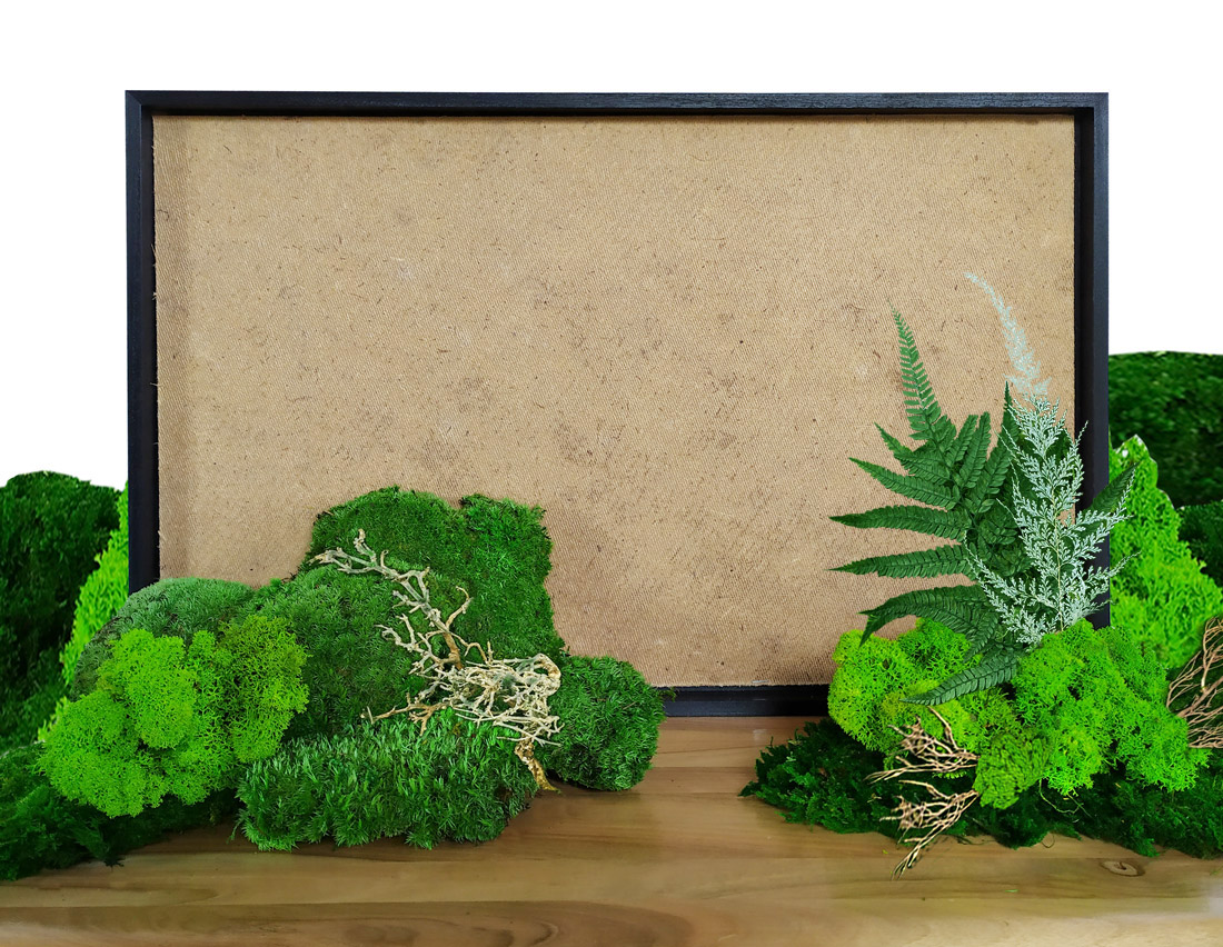 Vytvoř si mechový obraz - Mech-levně.cz